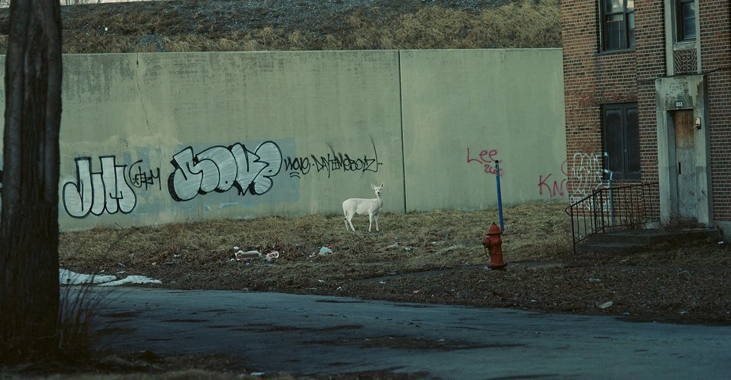 Book Launch, Talk & Signing, Gregory Halpern: King, Queen, Knave | The Photographers Gallery